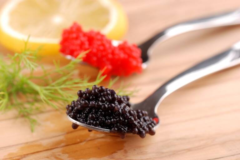 Uova di lompo: ricette e proprietà del caviale dei poveri