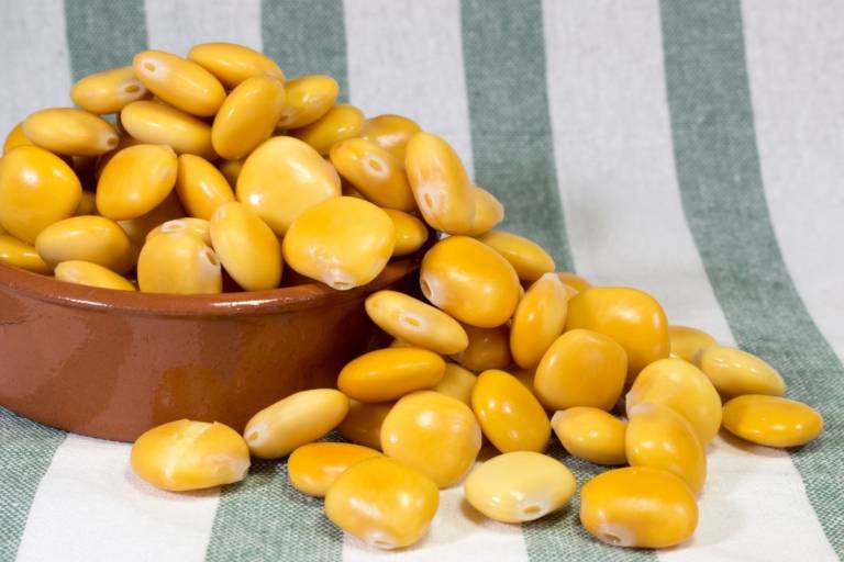 Ecco 5 imperdibili ricette con i lupini provate per voi!