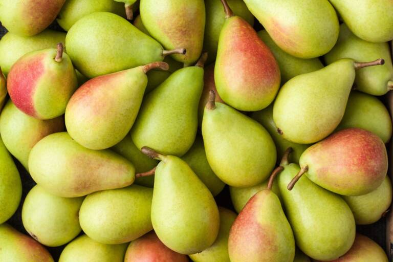 Tipi di pere: le principali varietà da tutto il mondo