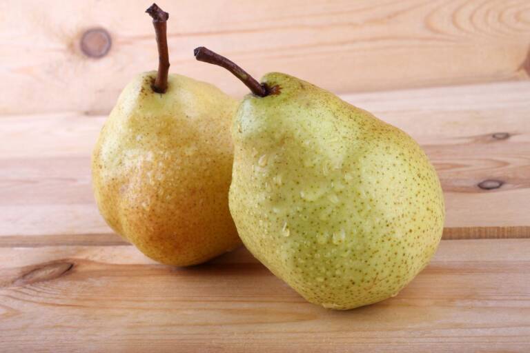 Tipi di pere: le principali varietà da tutto il mondo