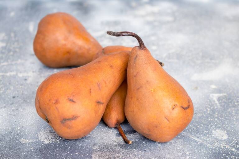 Tipi di pere: le principali varietà da tutto il mondo