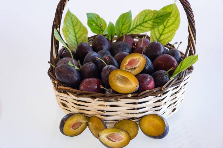 Prugne: varietà, caratteristiche e proprietà del frutto estivo