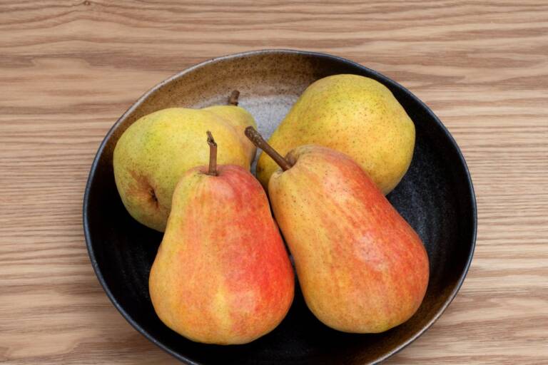 Tipi di pere: le principali varietà da tutto il mondo