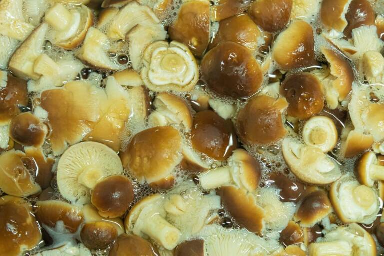 Chiodini sott'olio, la ricetta facile per un contorno delizioso